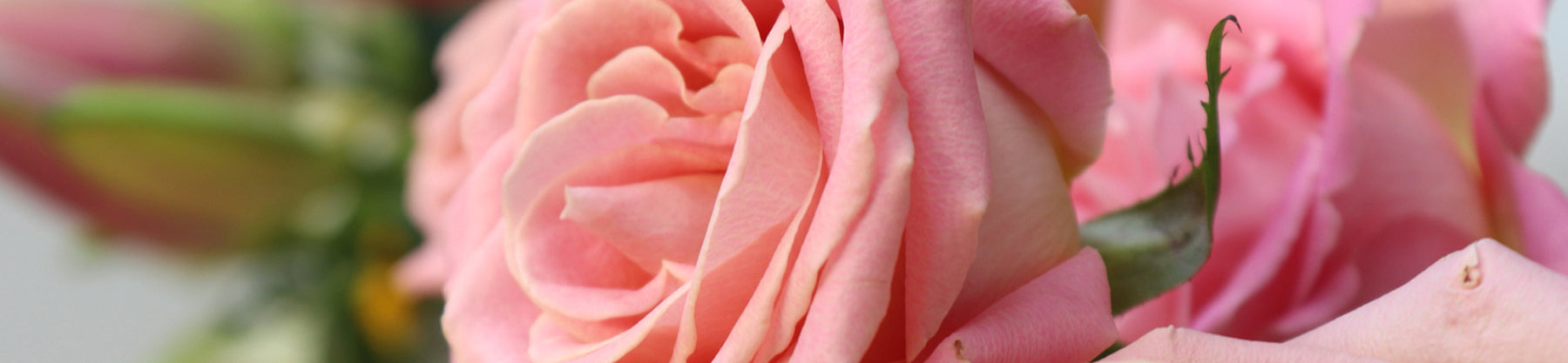 Fresh Flower Delivery in Brisbane | Anytime Flowers – West End Florist